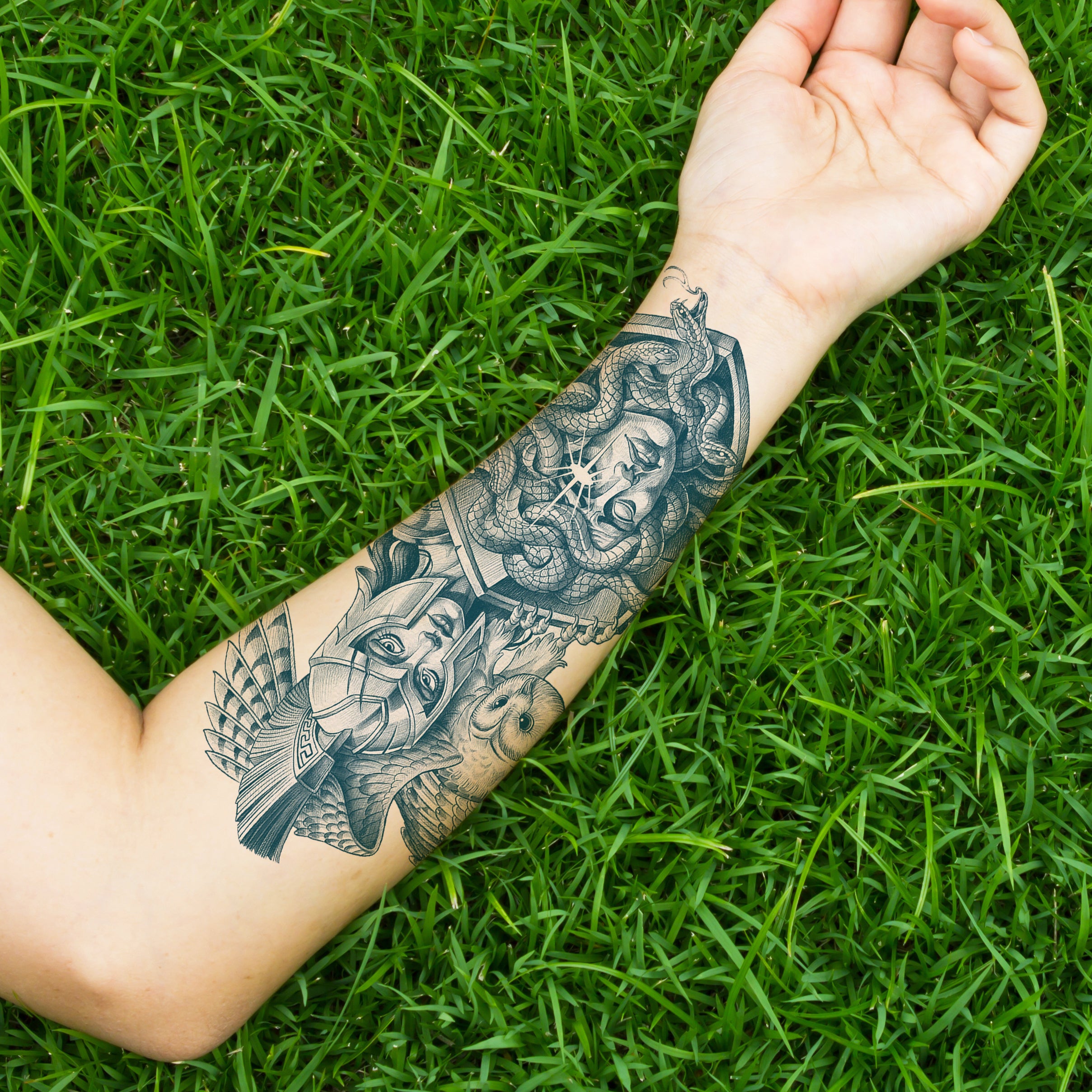 Hedra Warrior – Tatu Life